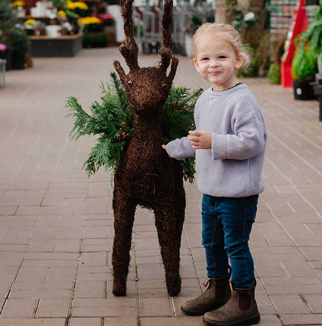 Adult Workshops: Large Reindeer Winter Planter | Cedar Rim Nursery