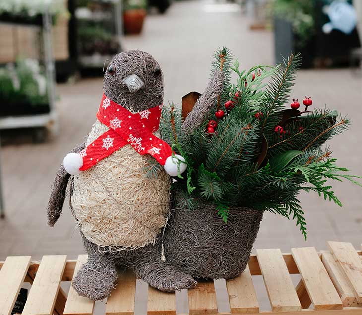 Adult Workshop: Penguin Winter Planter | Cedar Rim Nursery