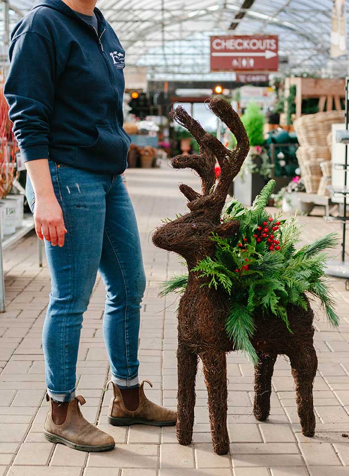 Adult Workshop: Large Reindeer Winter Planter | Cedar Rim Nursery